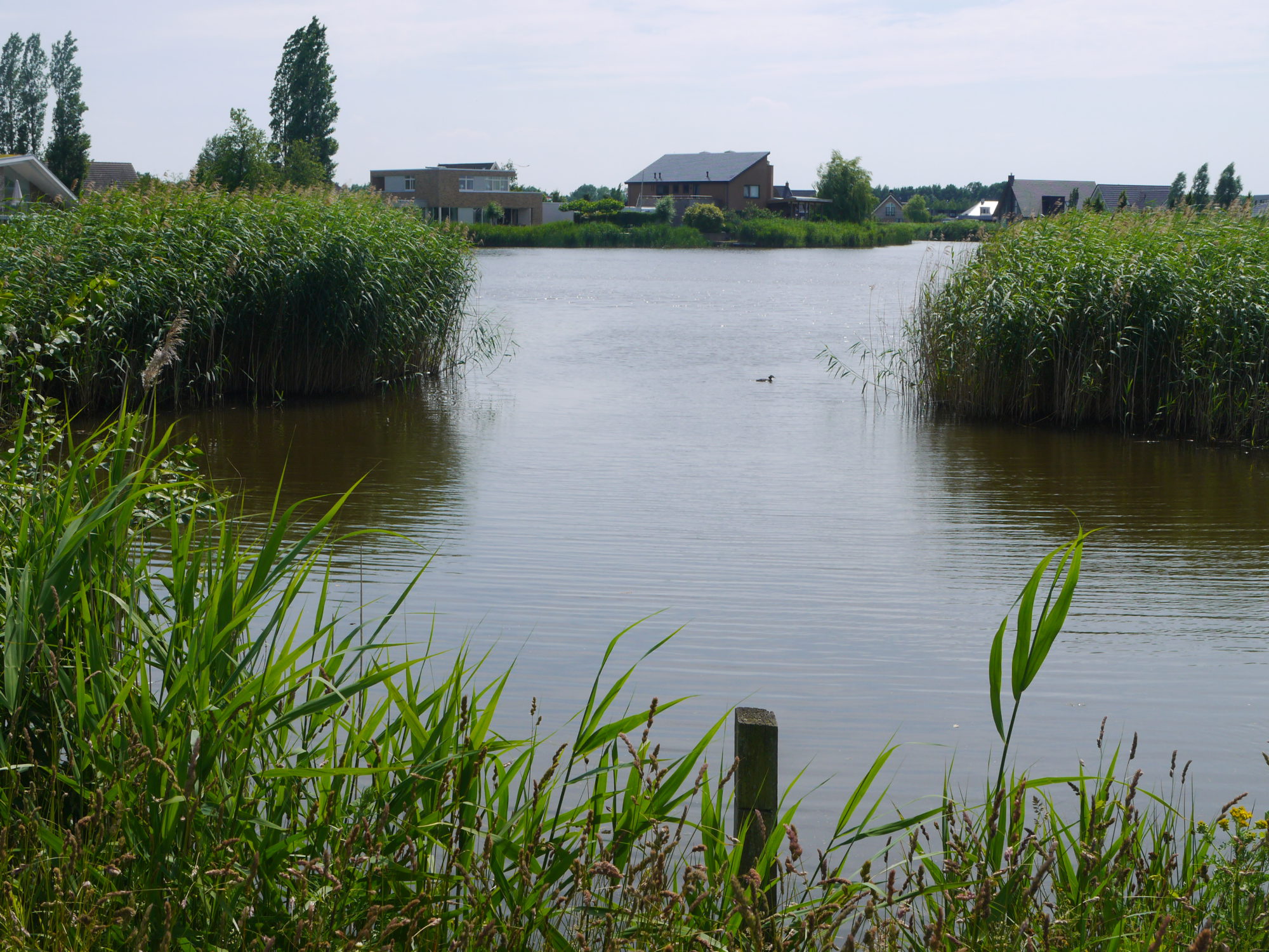 Het Riet - Blauwestad